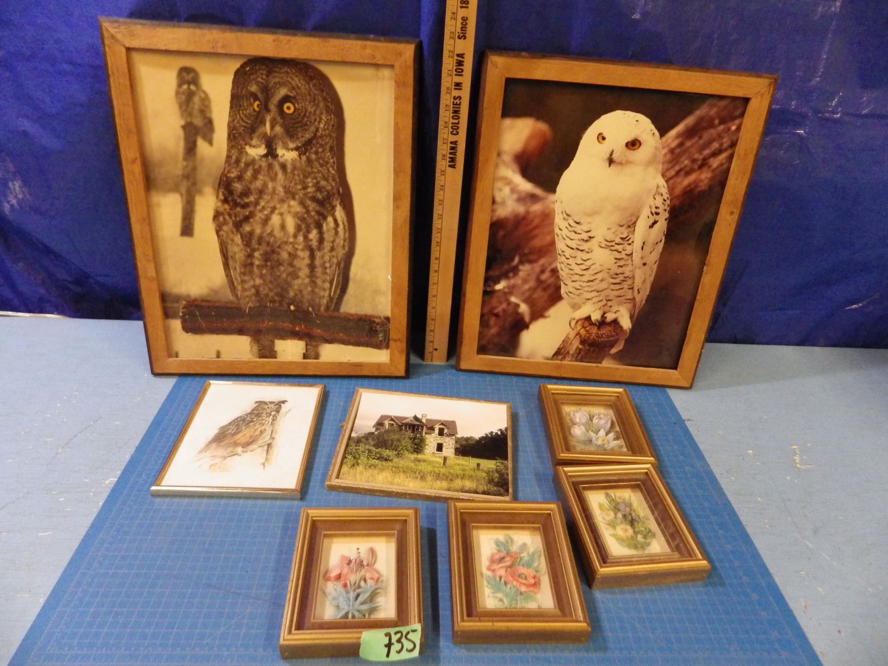 Various framed pictures