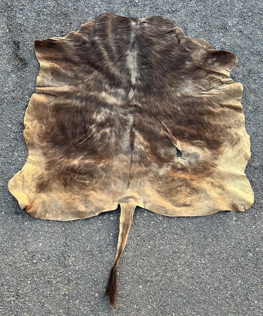 Antique Montana Ranch Steer Hide Rug