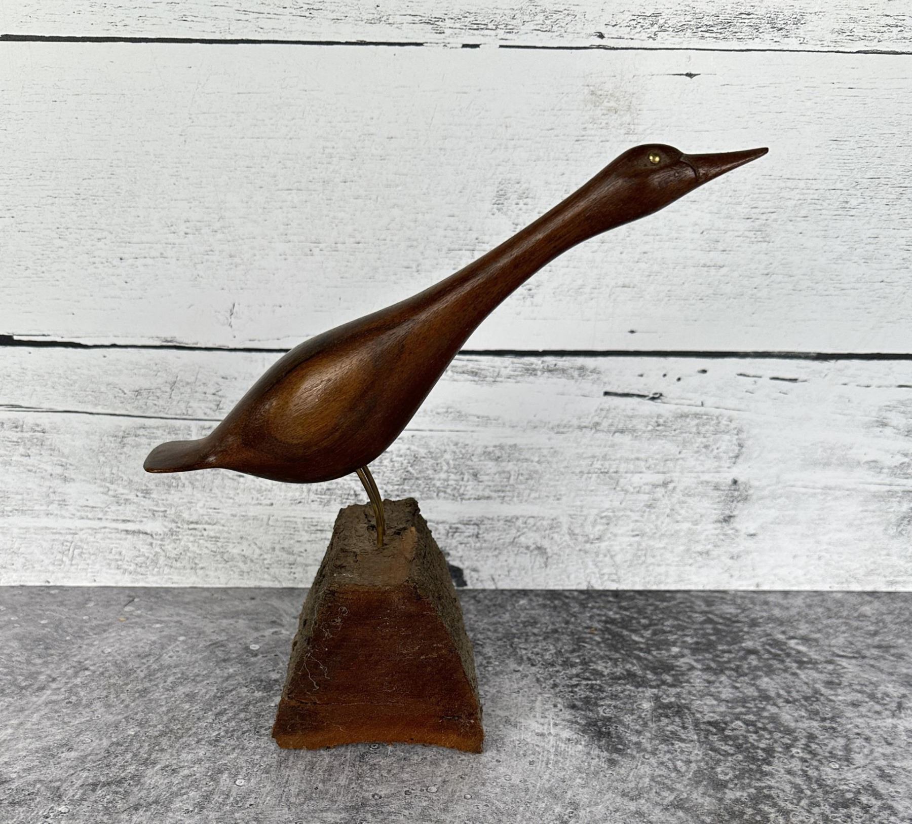 Joe Mathias Oregon Wood Duck