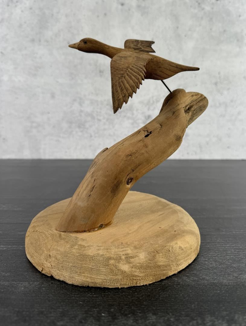 Joe Mathias Oregon Wood Duck in Flight