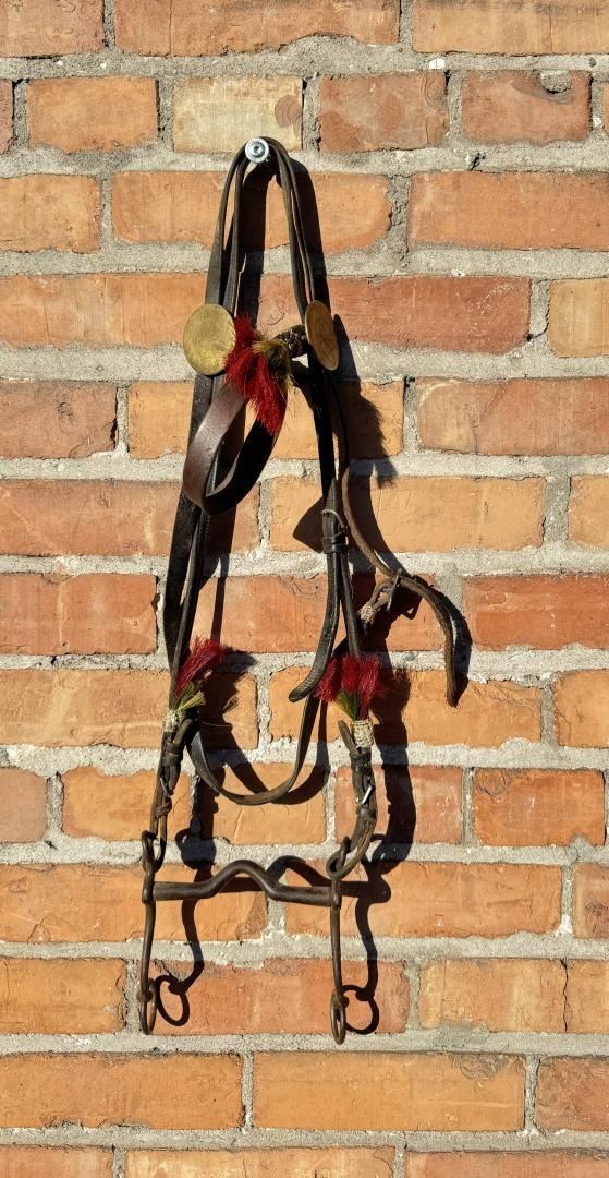Native American Indian Horsehair Bridle