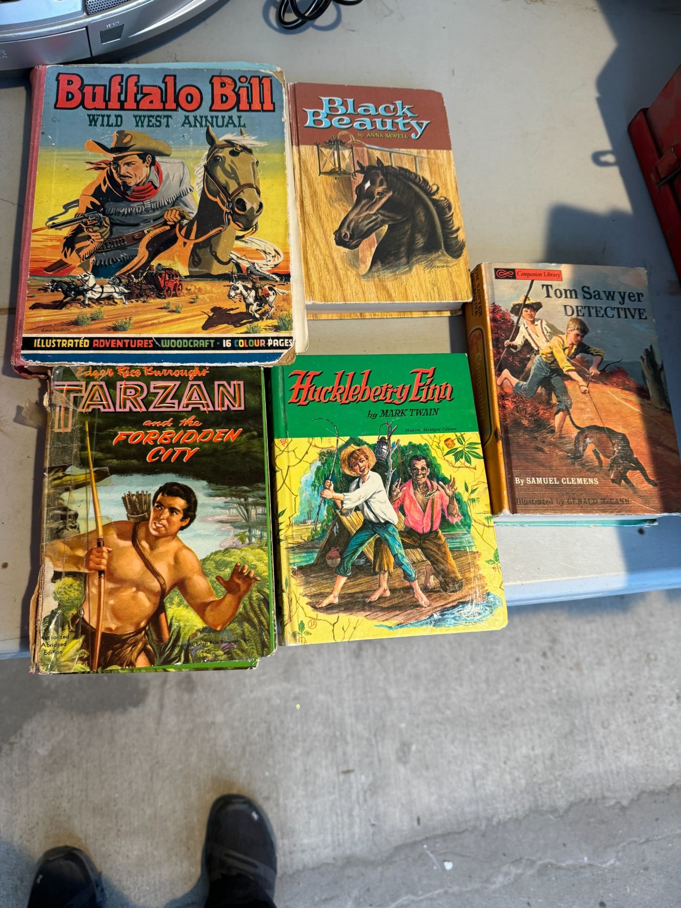 Tom Sawyer, Black beauty, Buffalo, Bill, Tarzan, and Huckleberry Finn books