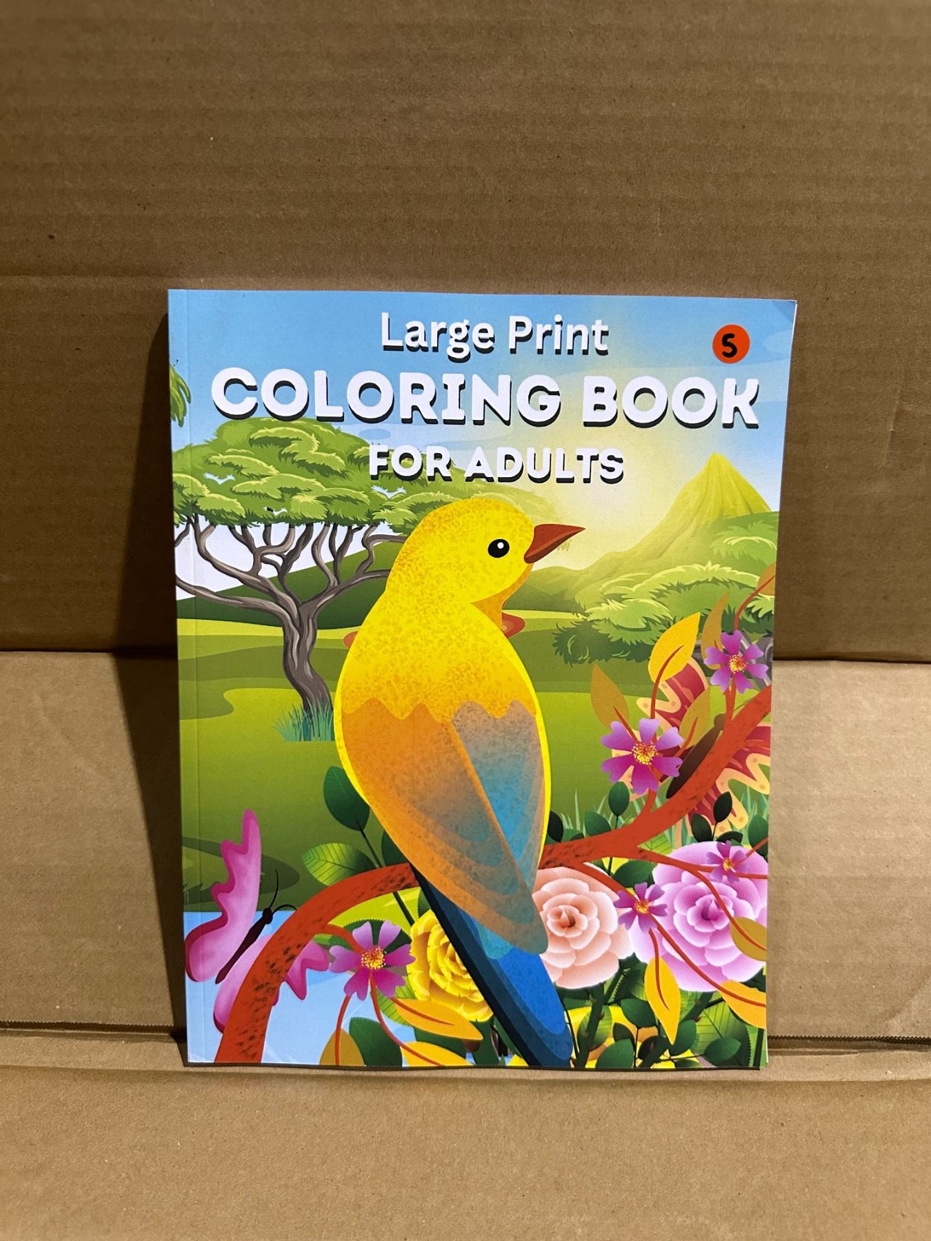 Large Print Coloring Book for Adults