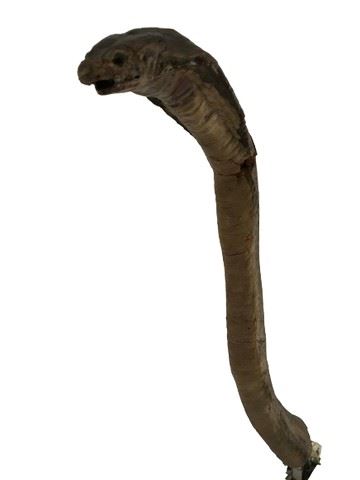 Crocodile Dundee II Animatronic Cobra Snake Movie Props