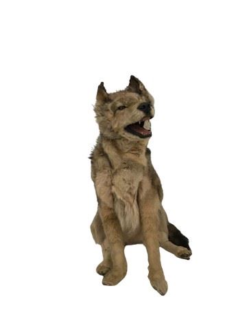 Wolf Animatronic Puppet TV/Movie Props