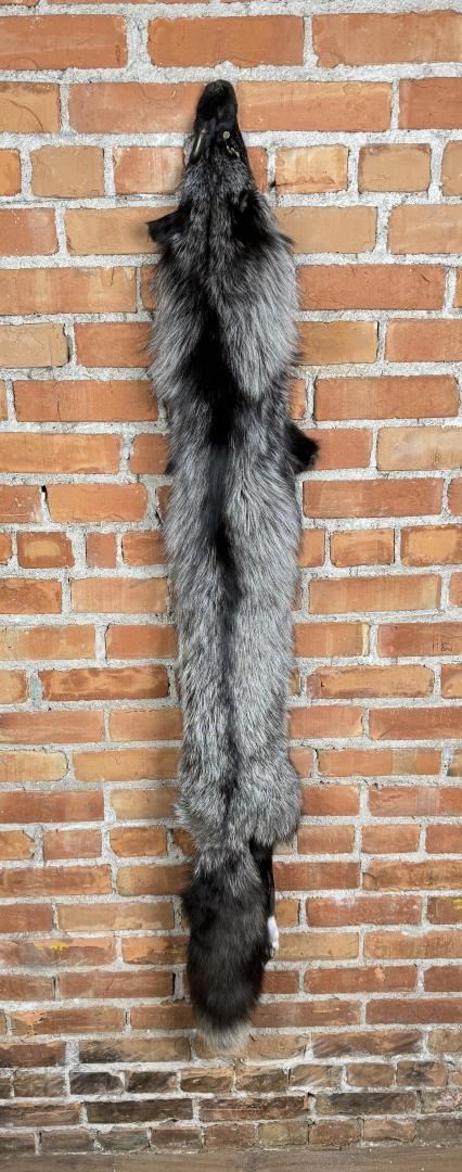 Beautiful Ranch Silver Fox Fur Pelt Taxidermy