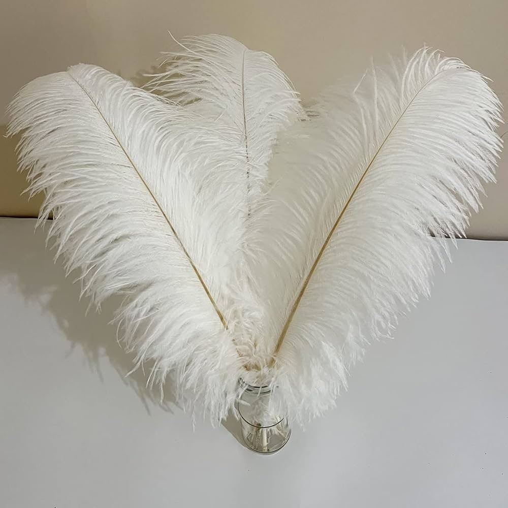 10 Pack Of Big Fluffy White Ostrich Feathers