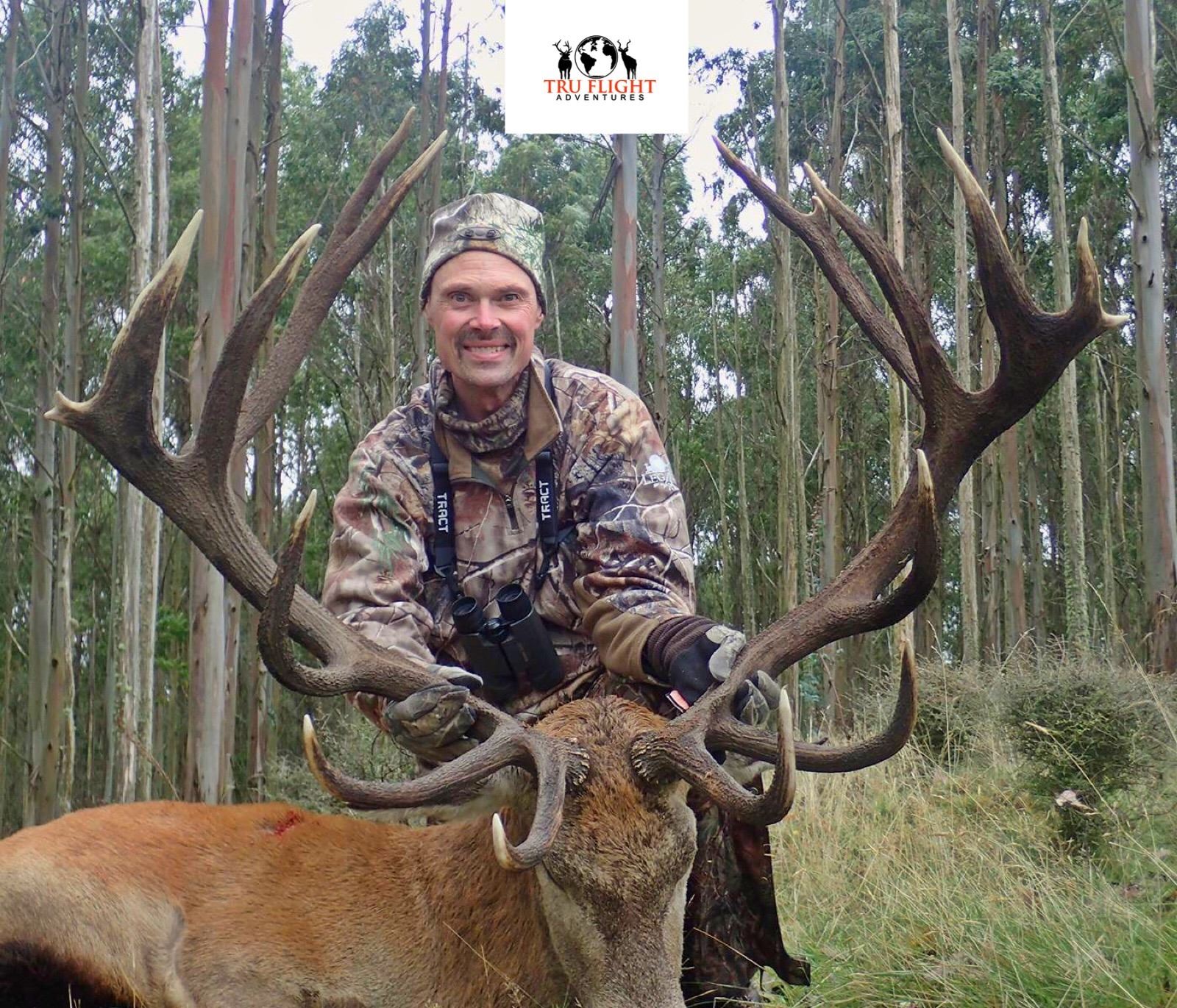 New Zealand Red Stag Hunt
