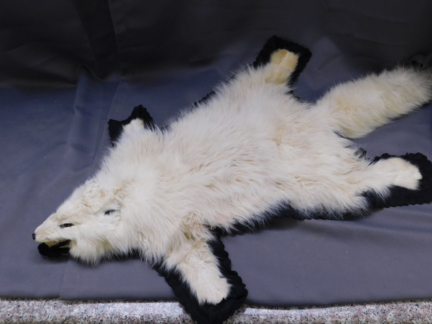 Arctic Fox Animal Hide Rug 3ft long