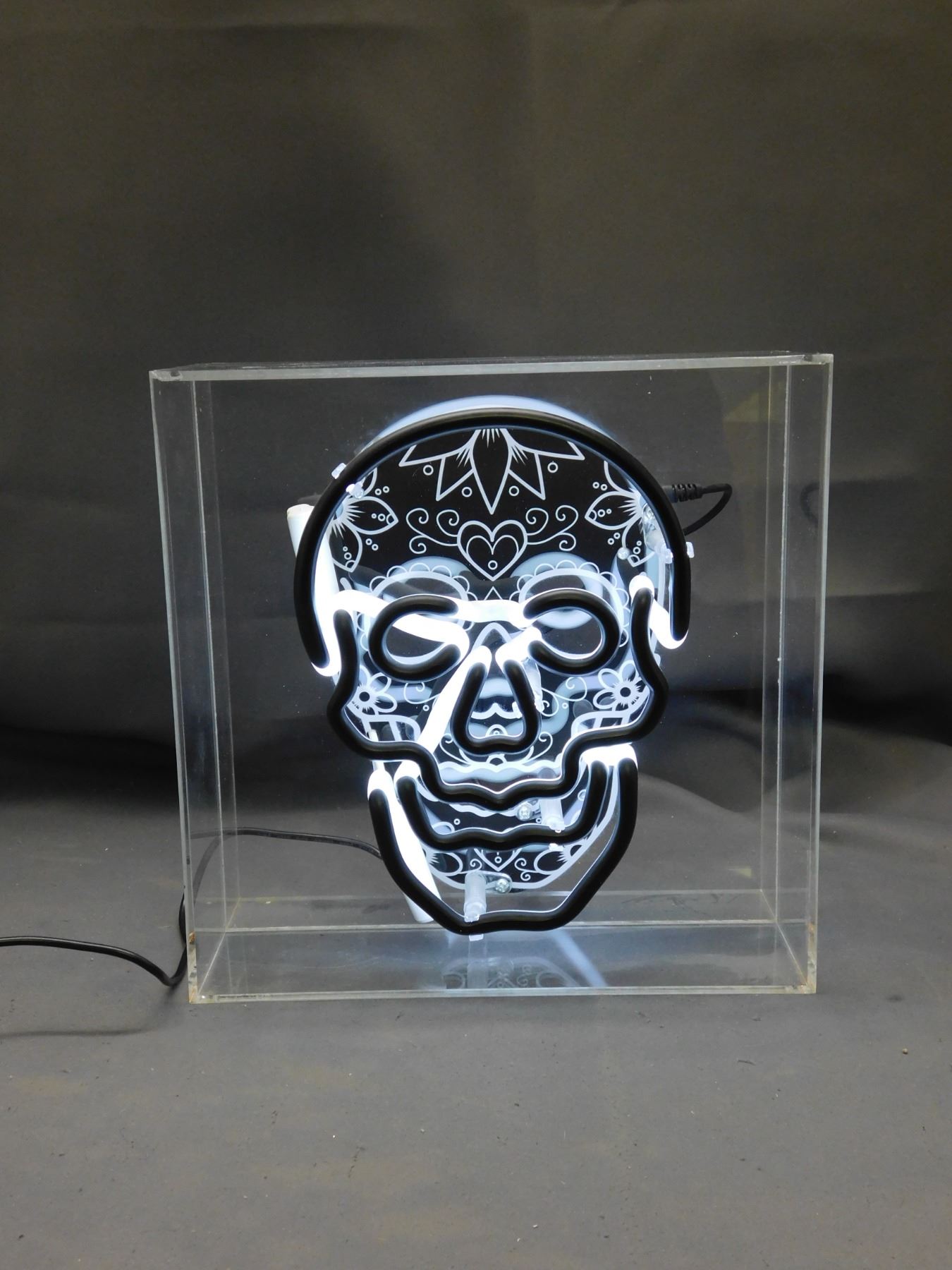 Neon Style LED Skull Light in Acrylic Frame