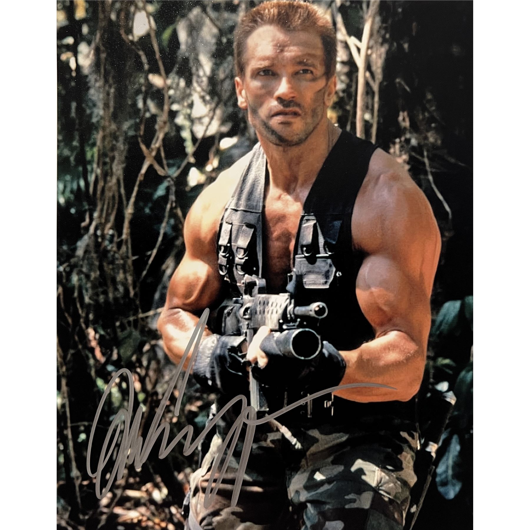 Predator Arnold Schwarzenegger signed photo