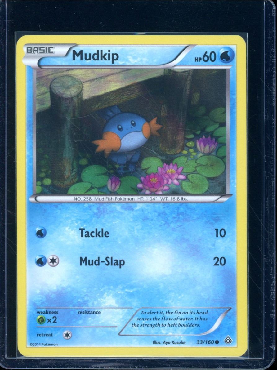 Pokemon Mudkip - Holo Rare - 33/160 - Common Primal Clash