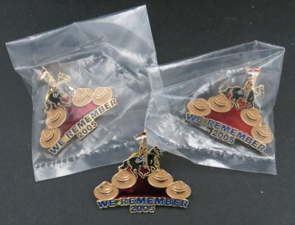Lot of 3 We Remember 2005 Collector Pins