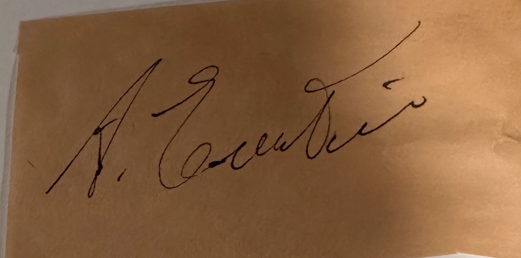 Albert Einstein Autographed Cut