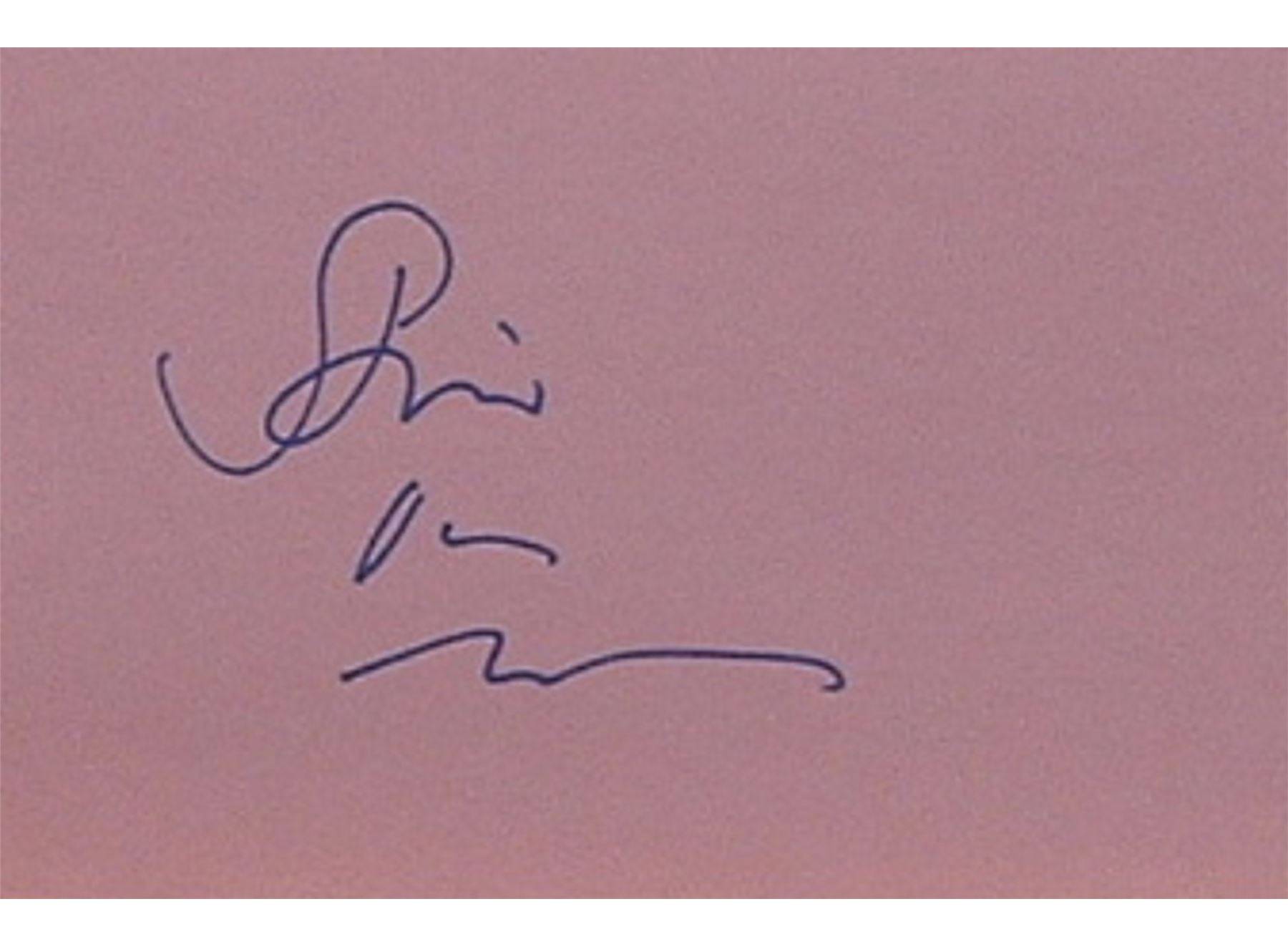 Stevie Van Zandt signature slip