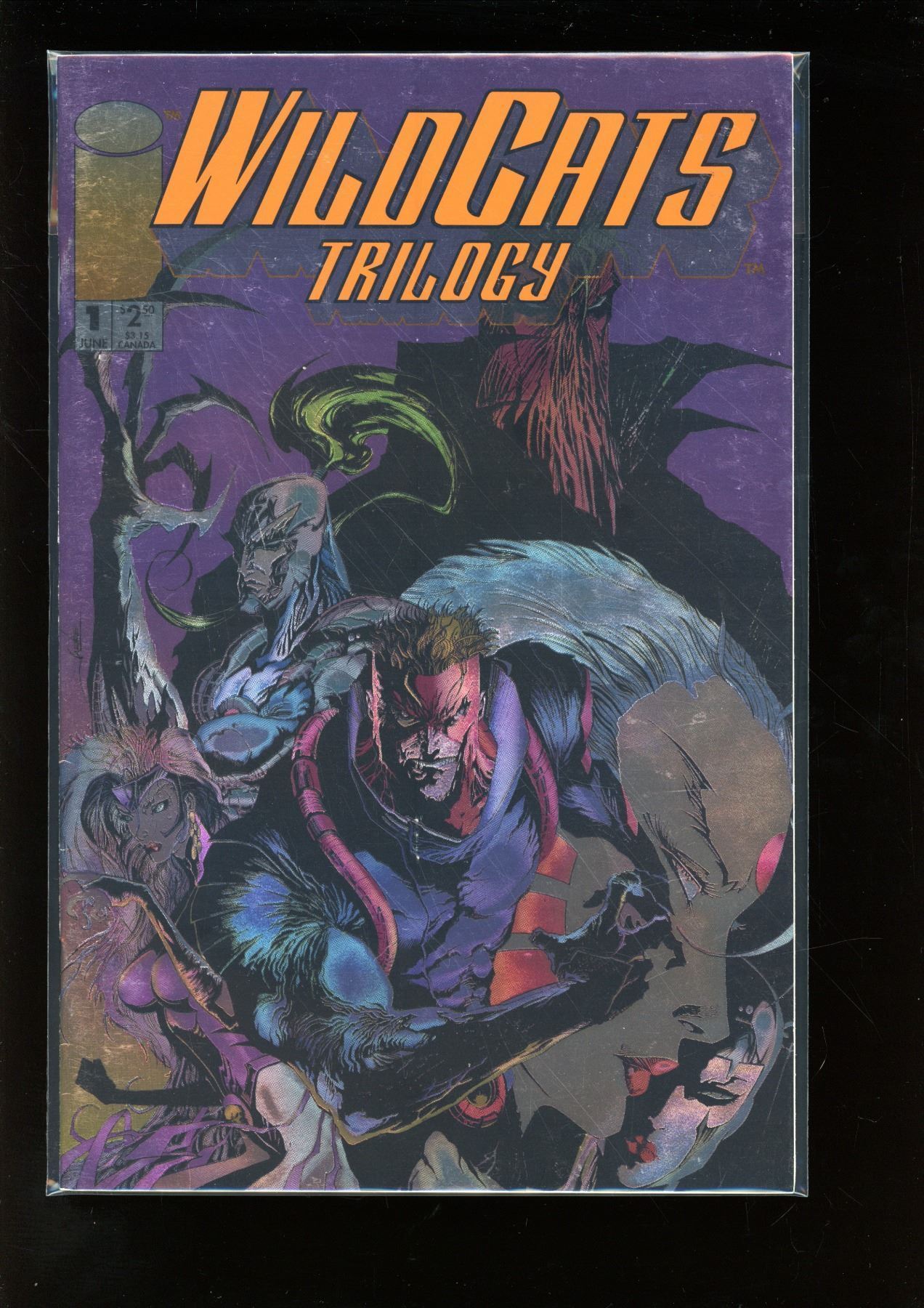 Image Wildcats Trilogy Foil Cover #1
