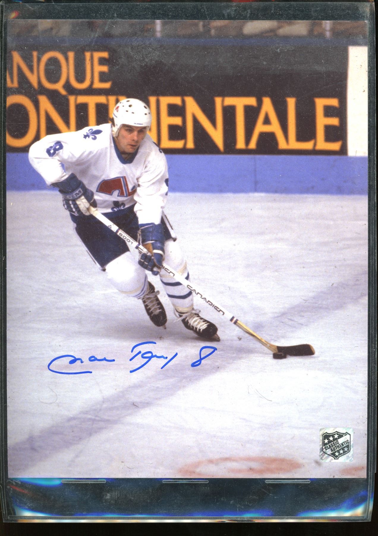 Marc Tardif Quebec Nordiques Autographed 8x10 Photo With Classic ...