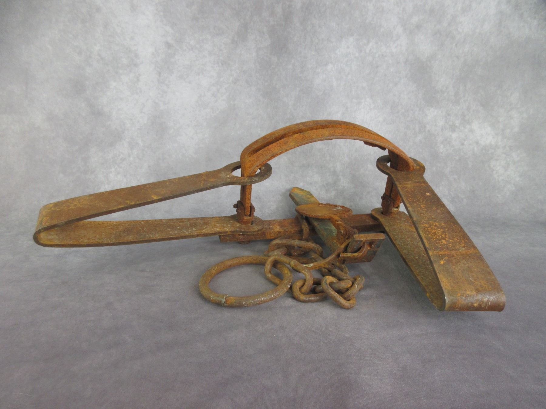 Large Bear Trap With Teeth And Swiveled Chain- Total Length 35"- Good Condition