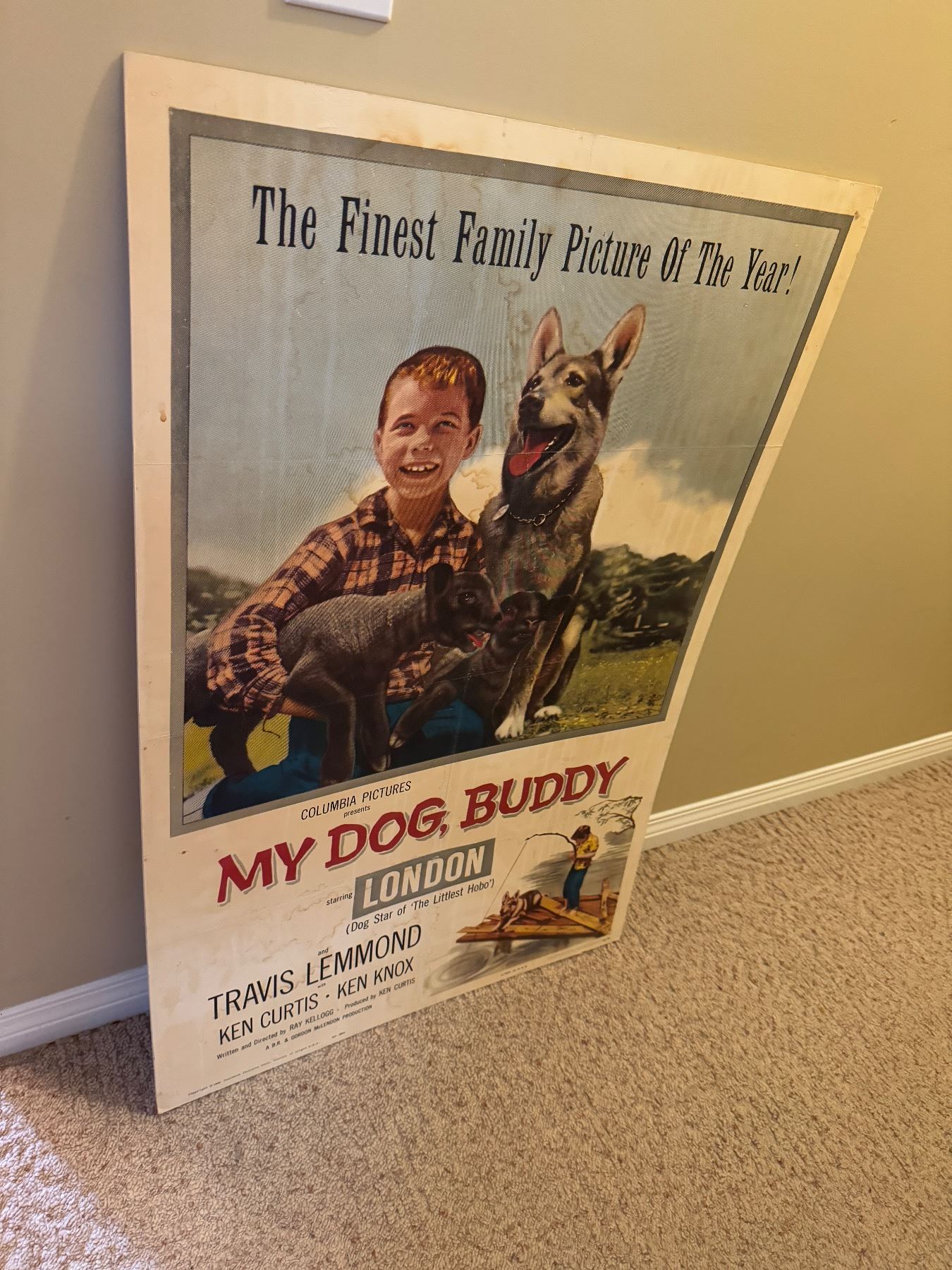 My dog buddy movie poster