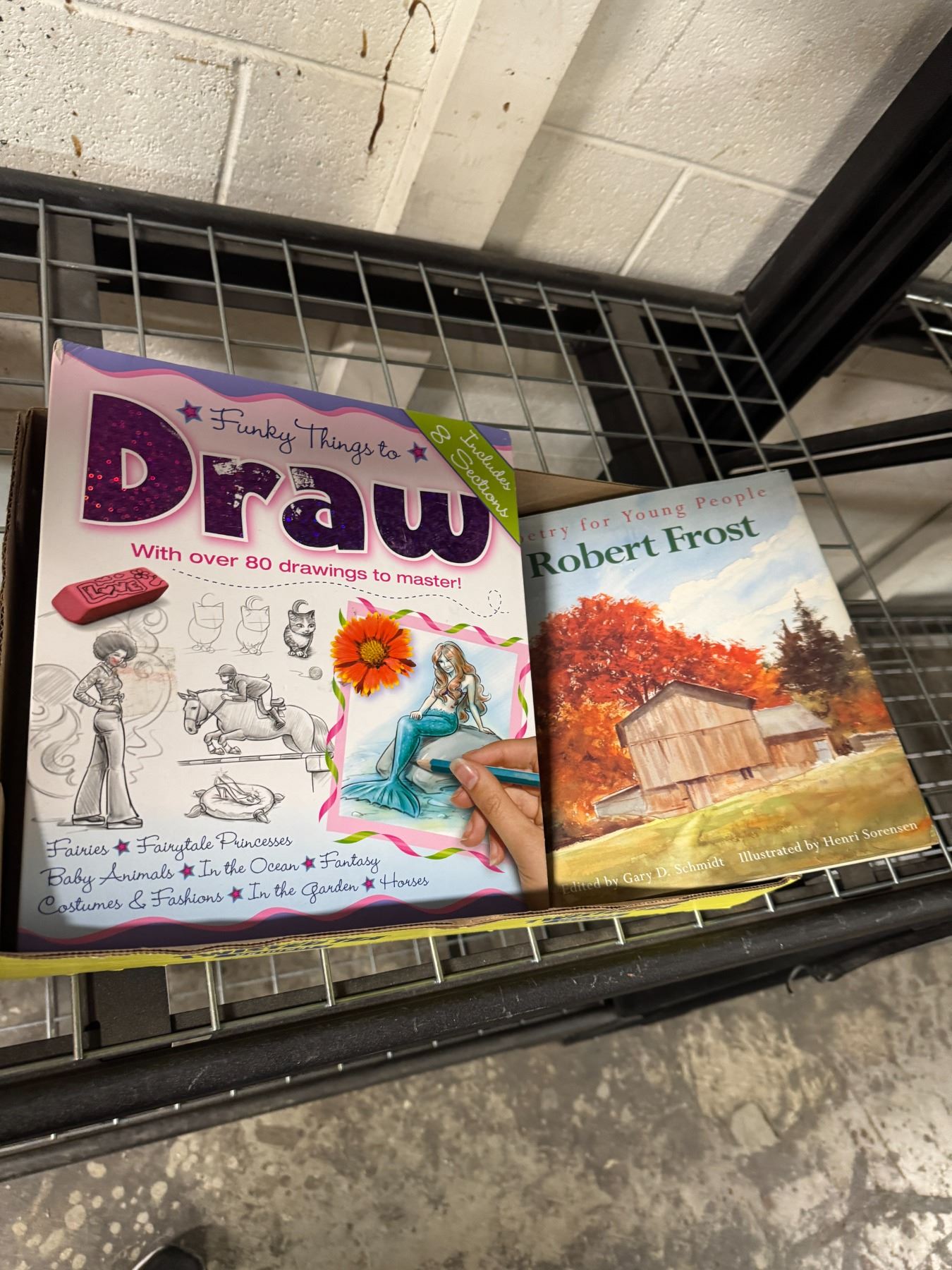 Drawing book and Robert Frost poetry book for young people