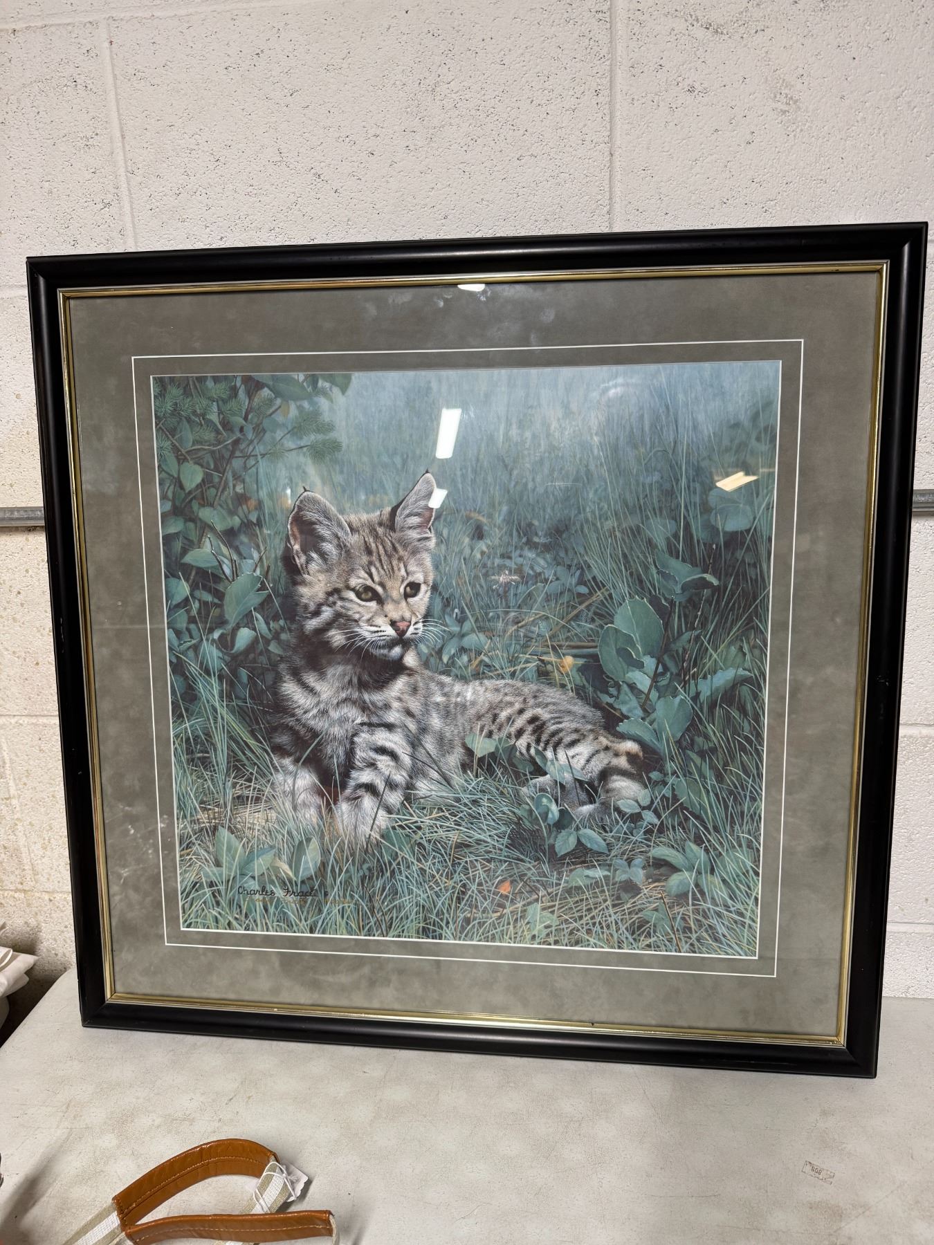 Charles France signed, numbered limited edition, print natures, Dawn