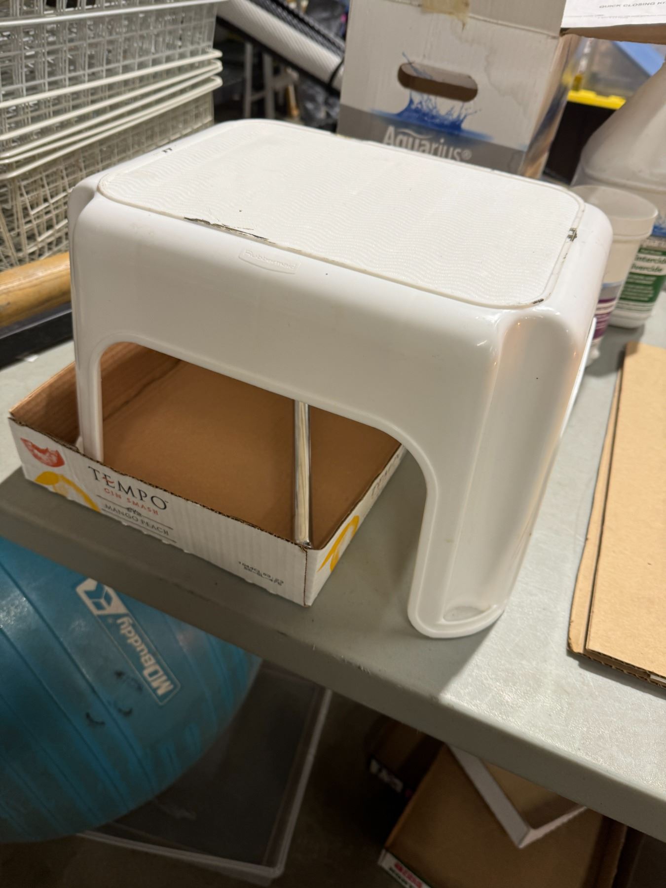 Rubbermaid step