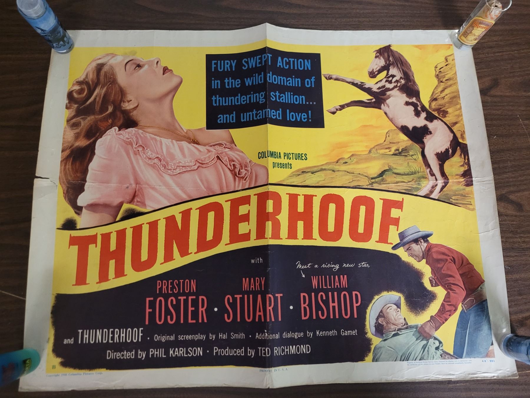 Thunderhoof Movie Poster - Half Sheet