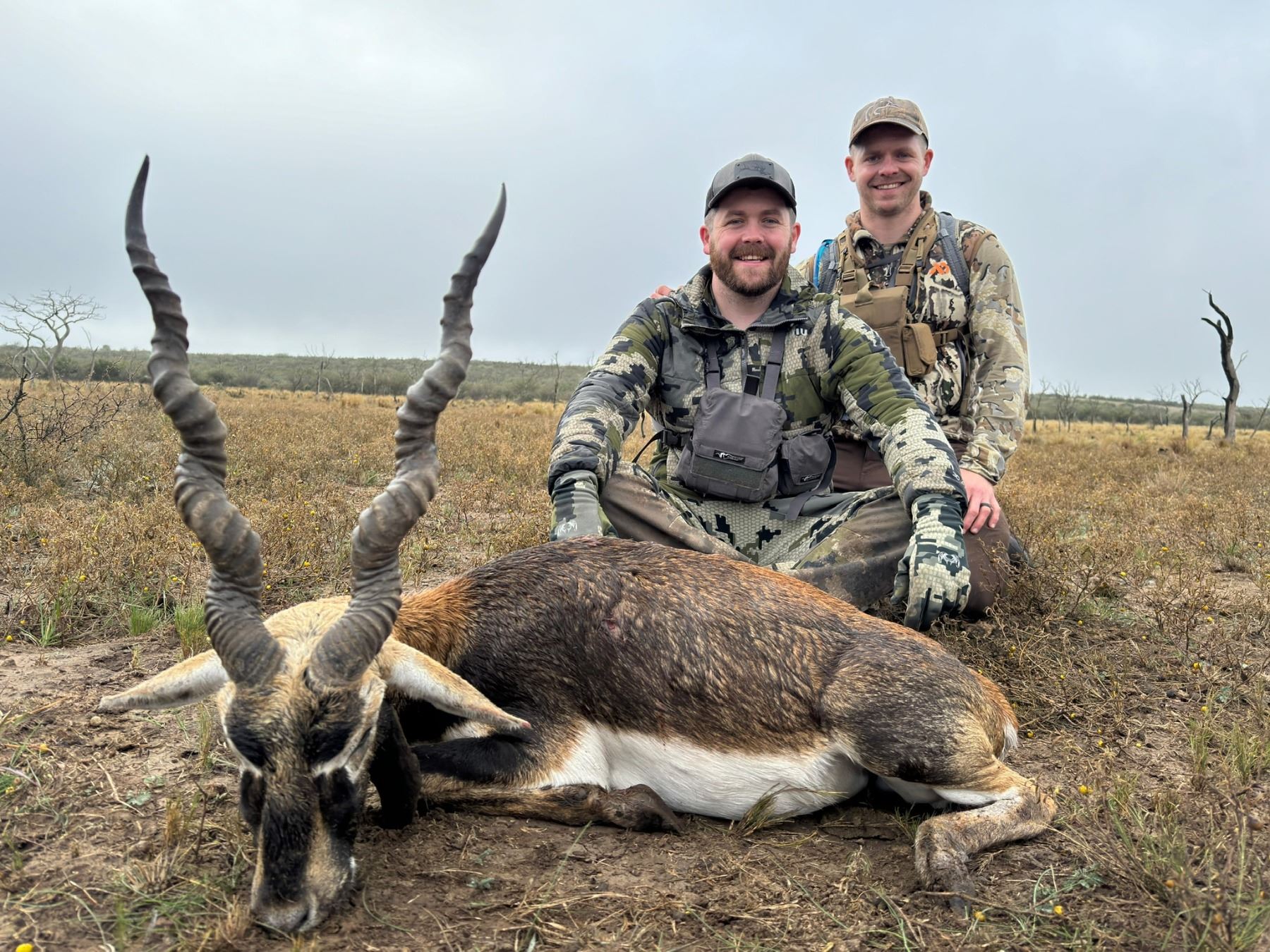 5-day Blackbuck Argentina Hunt for 2 hunters