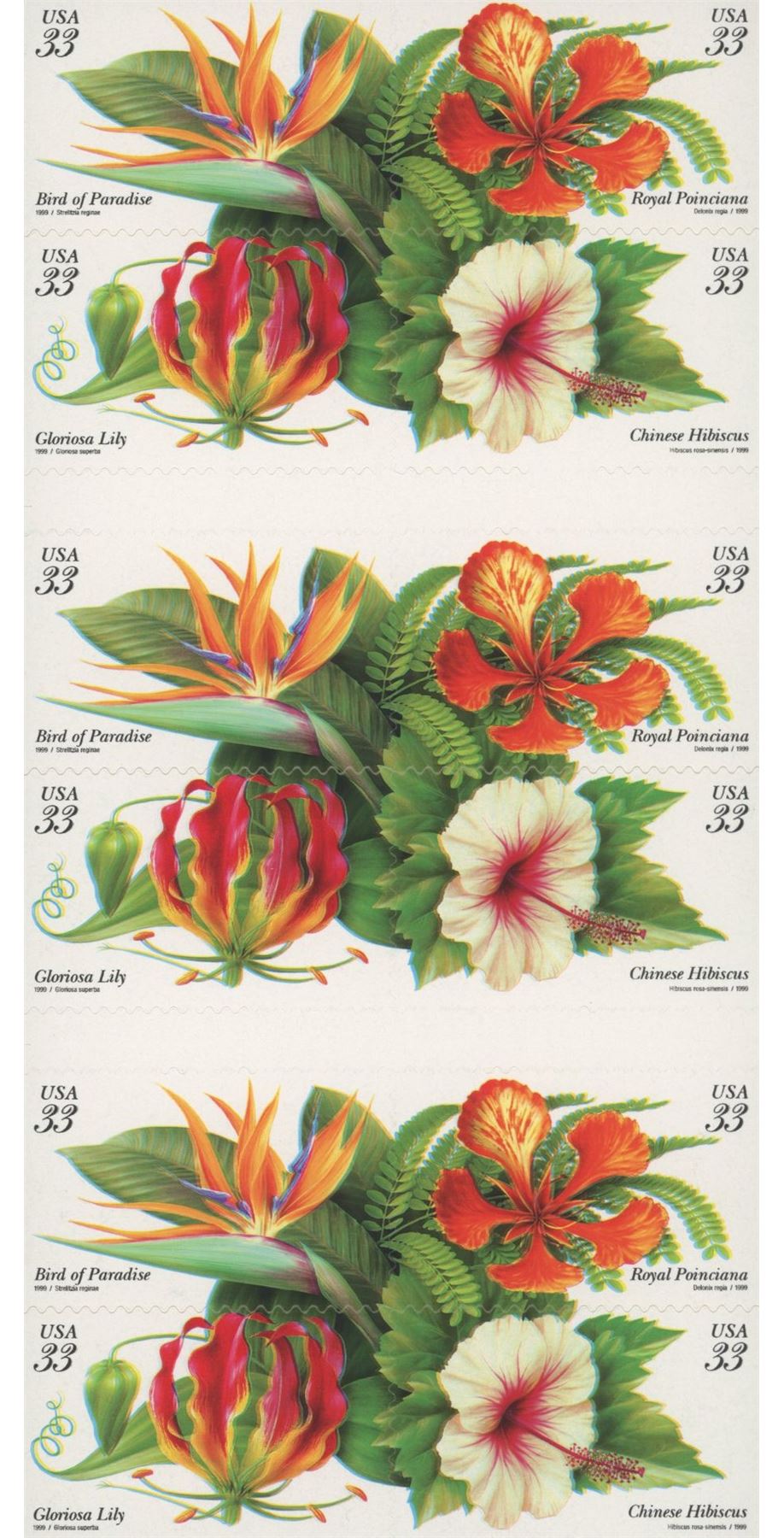 Tropical Flowers Full Stamp Book