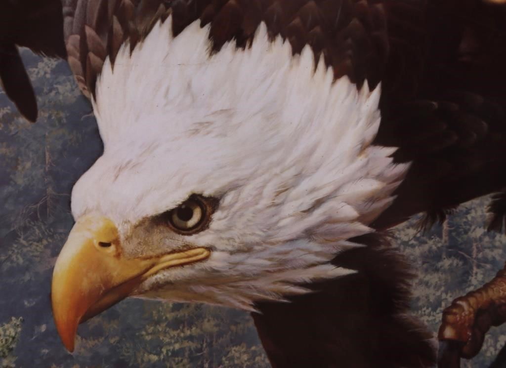 CARL BRENDERS BALD EAGLE PHOTOGRAPH - FRAMED