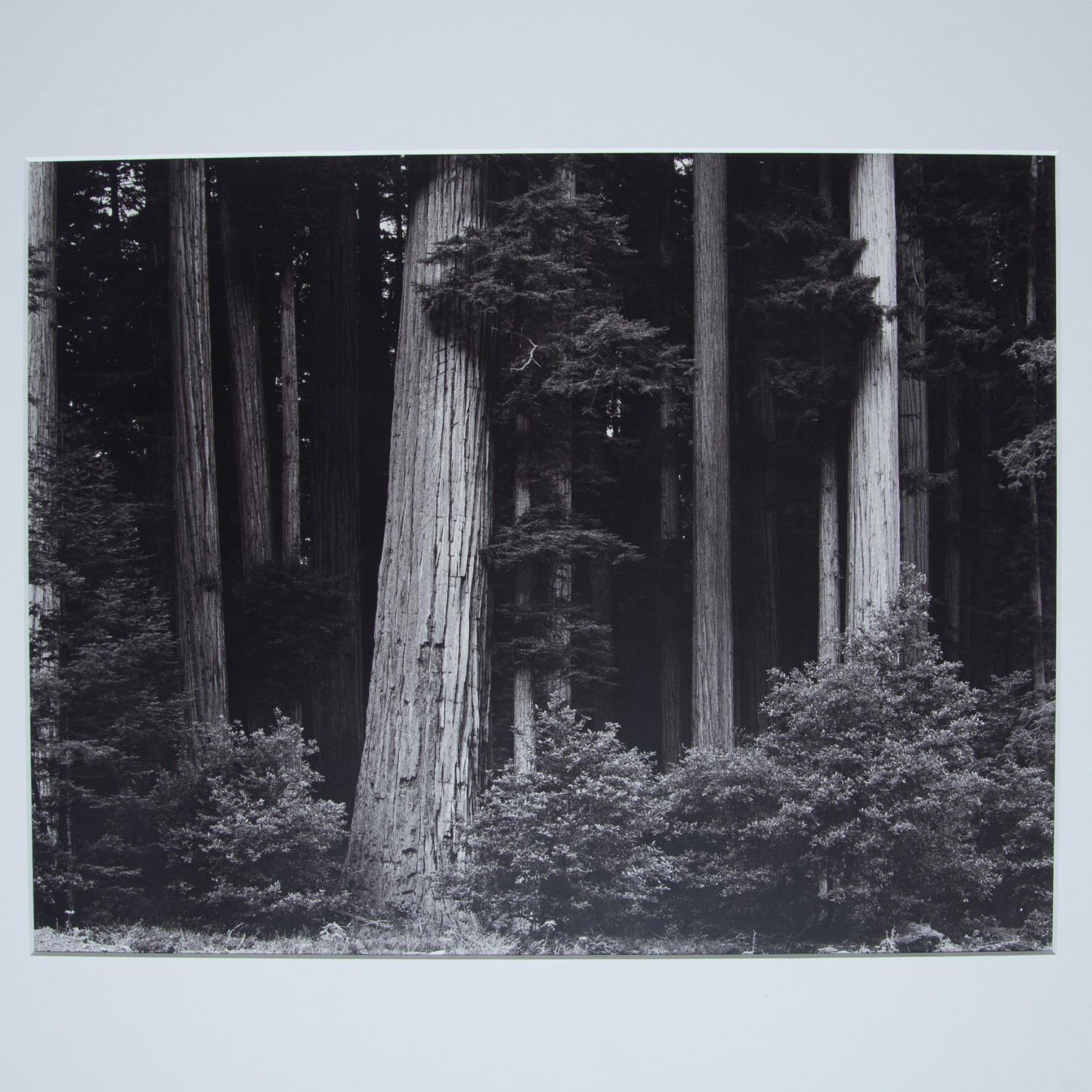 Pierre Charrier, Original Black & White Photograph on Board