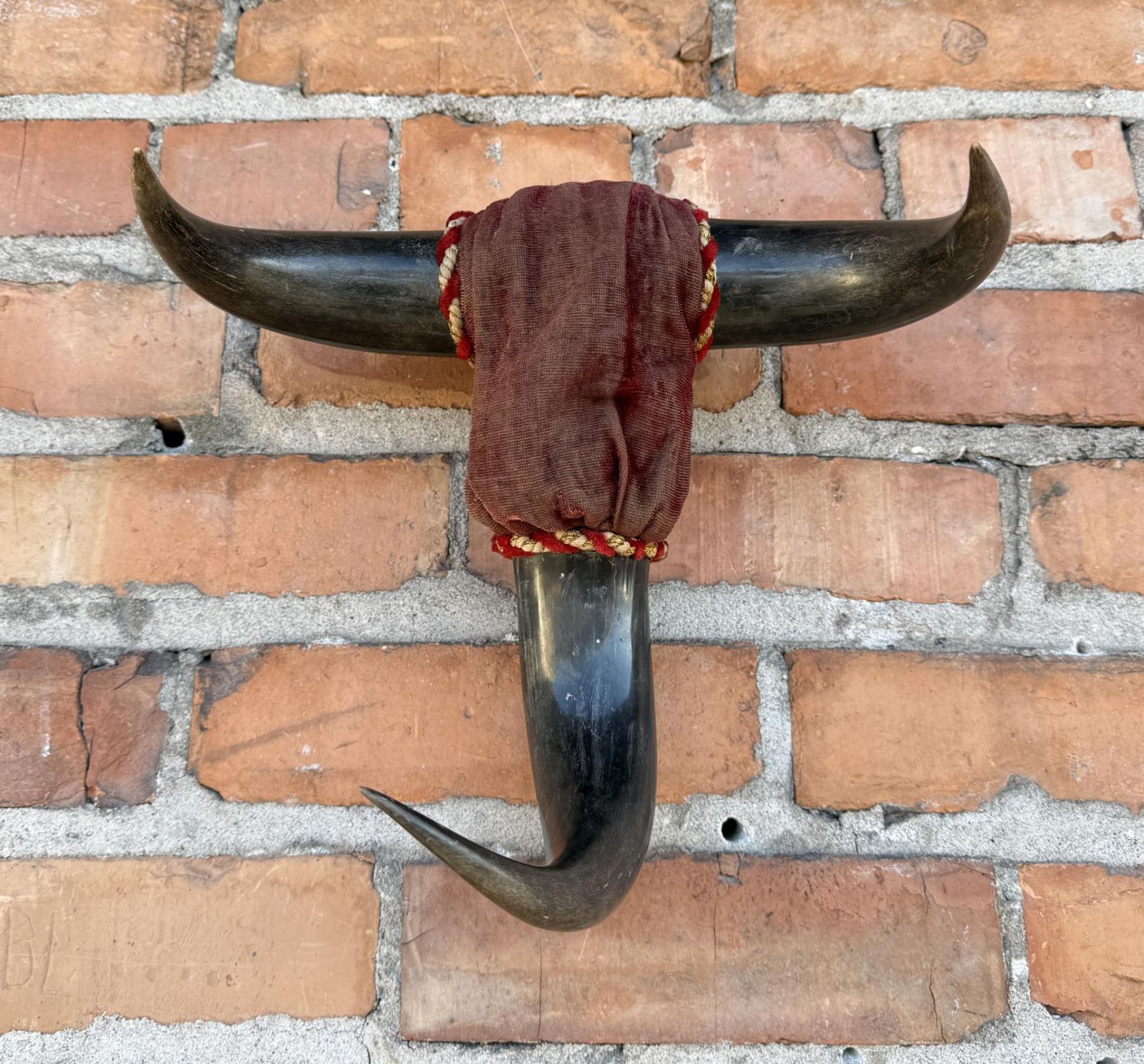 Antique Montana Buffalo Horn Coat Rack