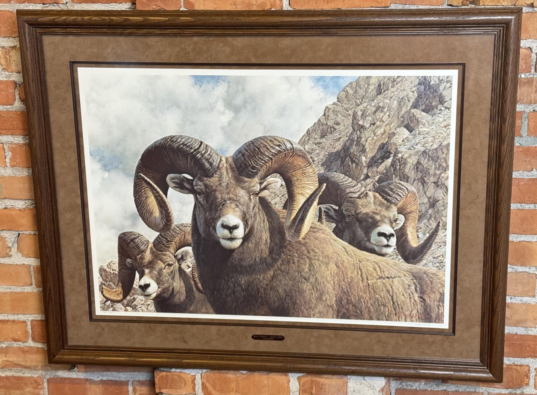 Carl Brenders Rocky Kingdom Bighorn Sheep Print