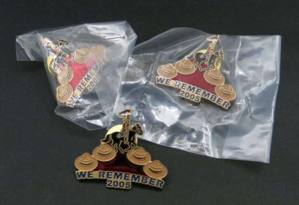 3 We Remember 2005 Collector Pins