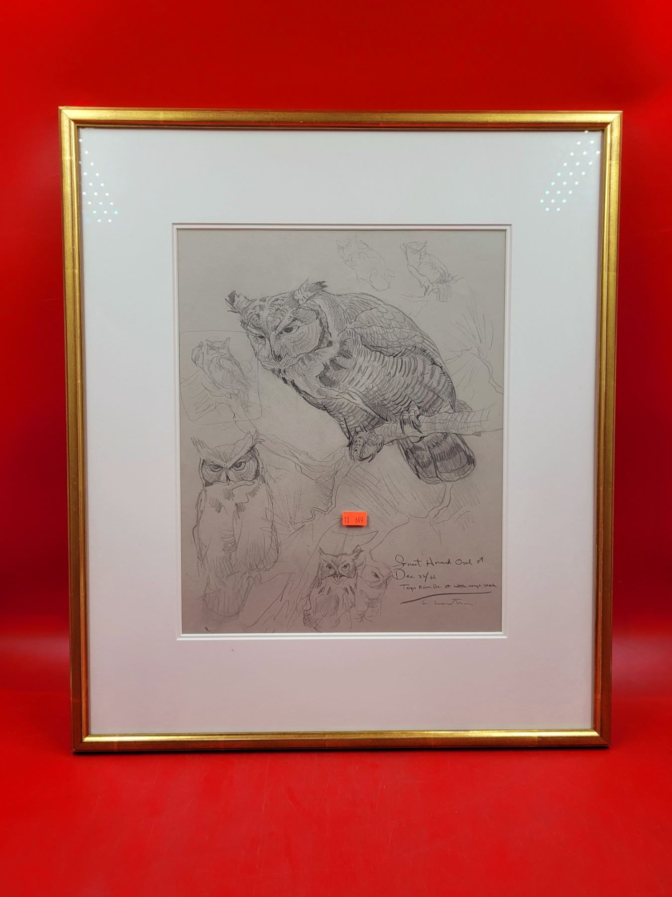Framed Original "Great Horned Owl" Sketch by Glen Coates