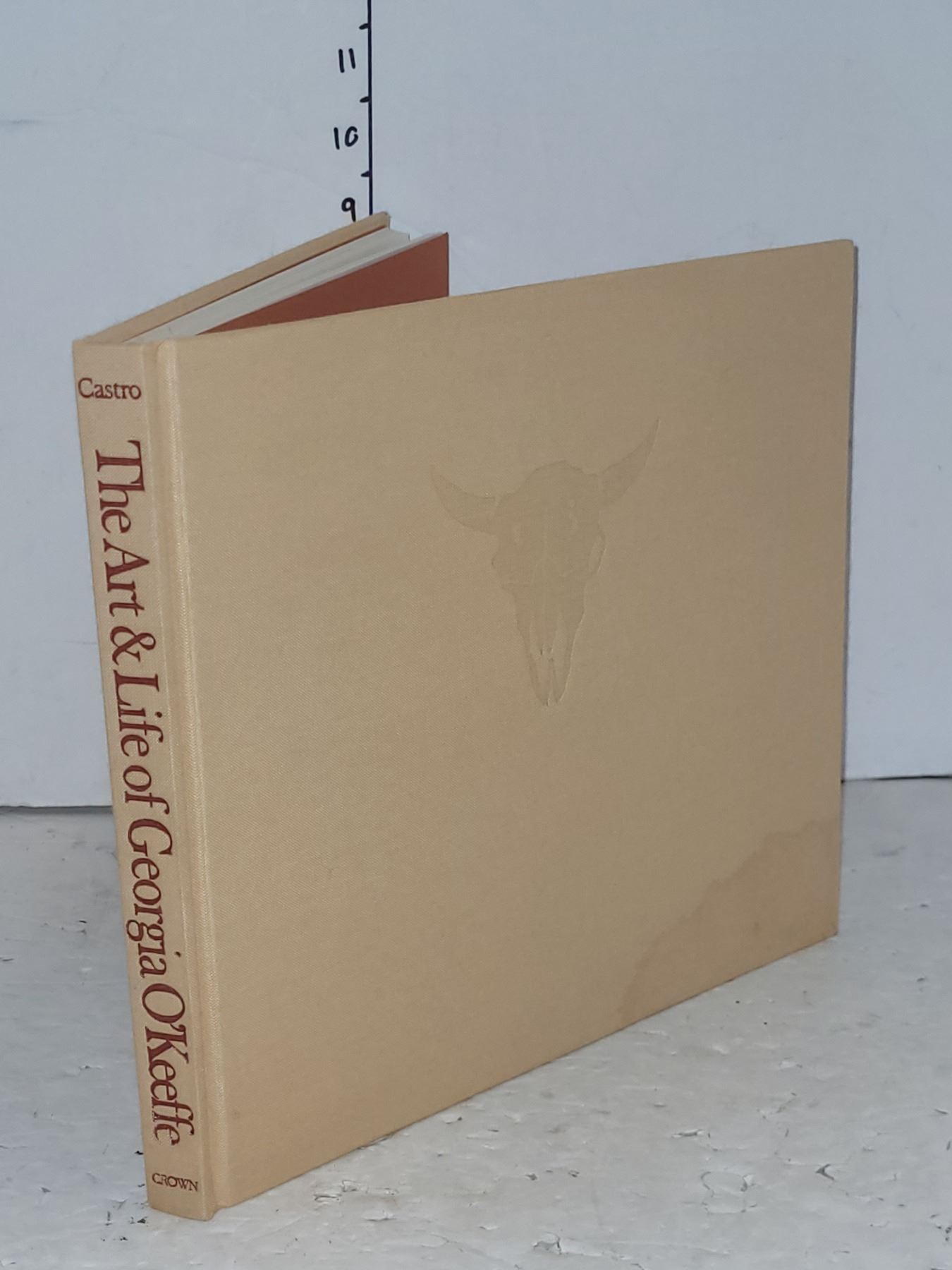 The Art & Life of Georgia O'Keefe, Jan Garden Castro