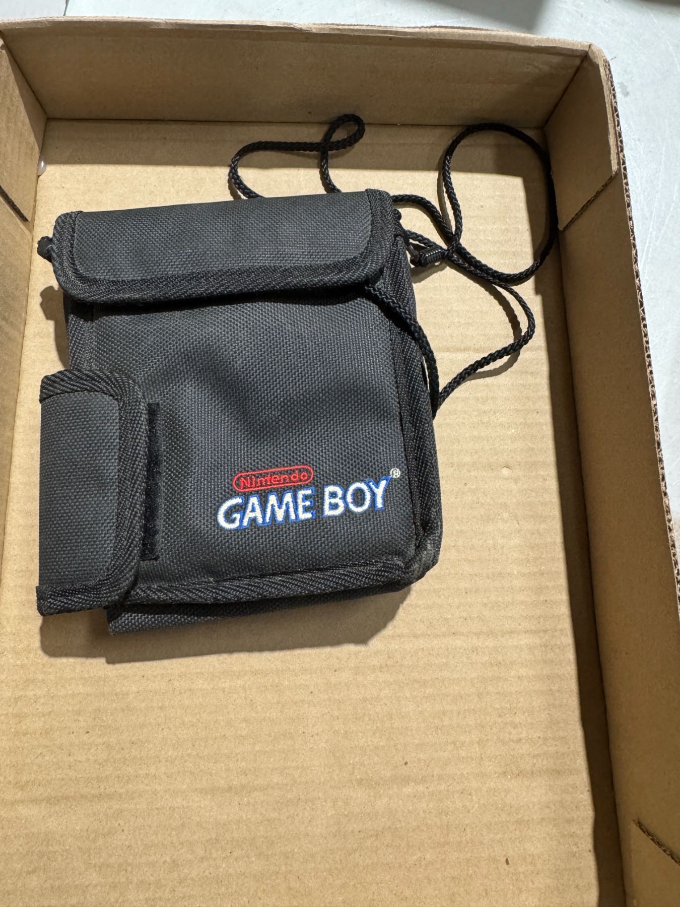 Nintendo game boy case