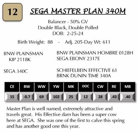 SEGA MASTER PLAN 340M