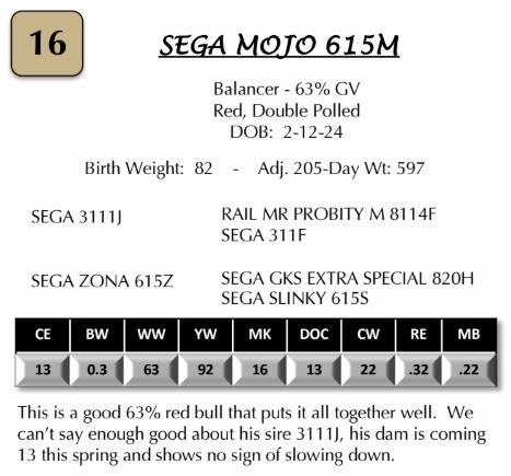 SEGA MOJO 615M