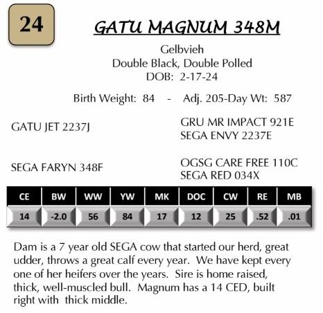 GATU MAGNUM 348M