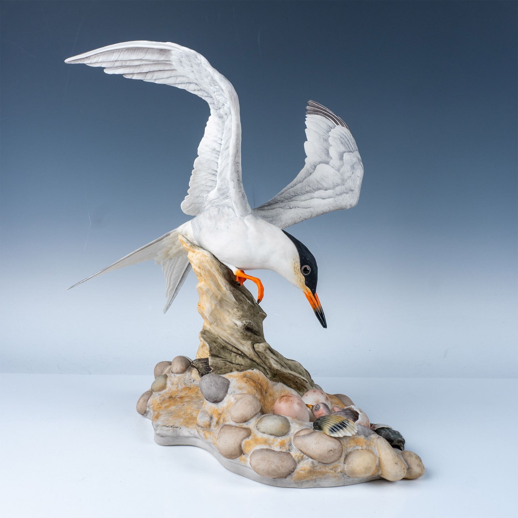 Boehm Porcelain Figurine, Coastal Birds Limited Edition