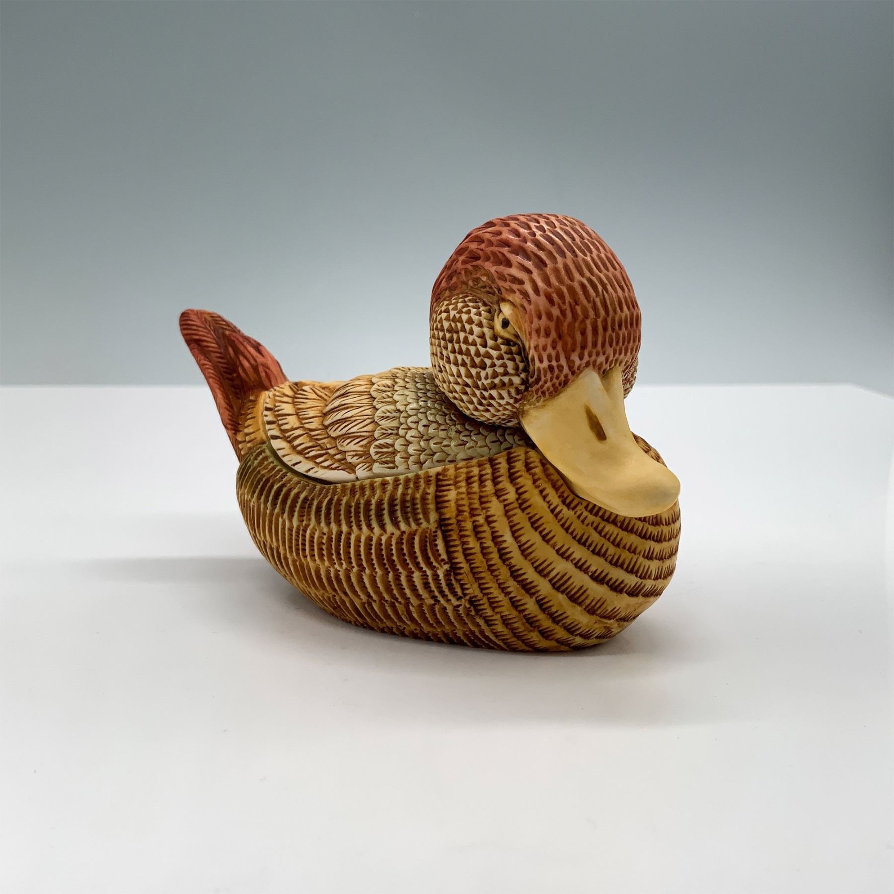 Harmony Kingdom Mallard Duck Treasure Box, Pondering