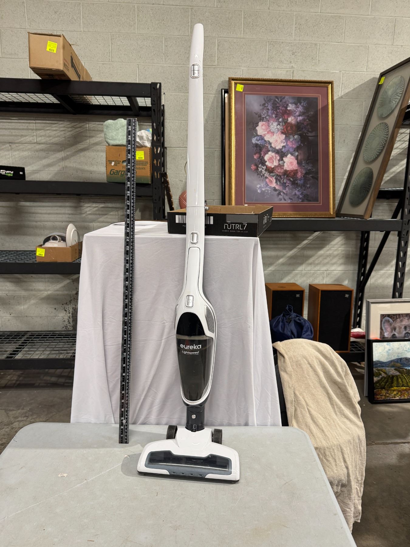 Eureka, light speed, vacuum no charging cord, but working