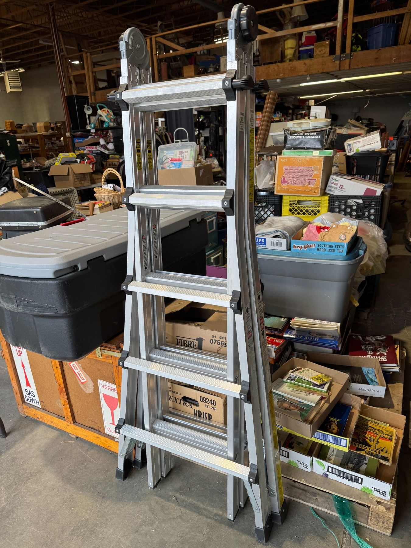 Cosco multipurpose ladder