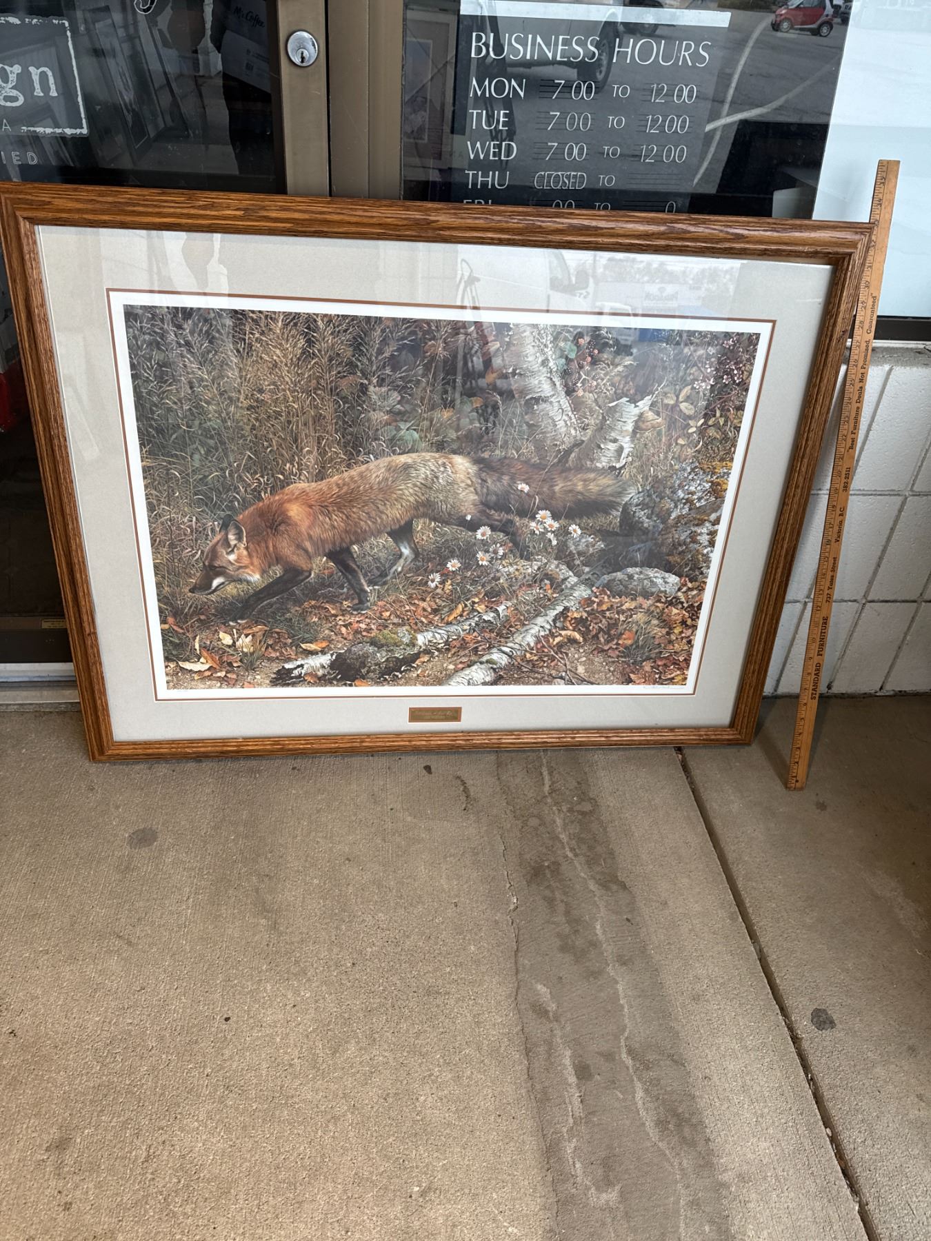 Carl Brender's Pathfinder red fox 744/5000 frame needs TLC