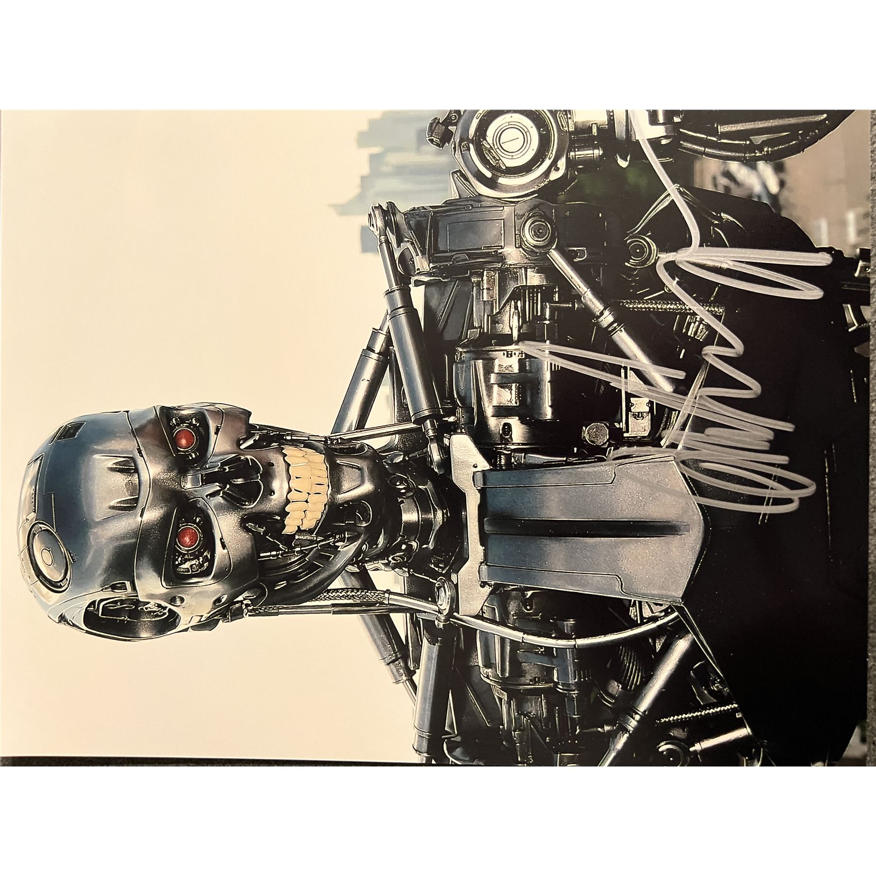 Terminator Arnold Schwarzenegger signed movie photo