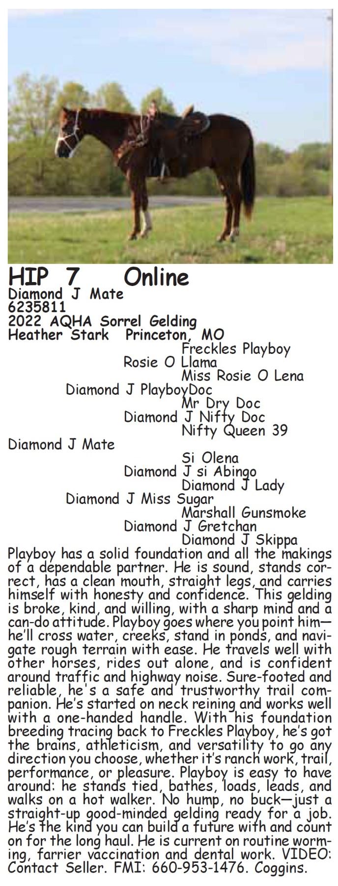 Diamond J Mate - Northern Livestock Video Auction