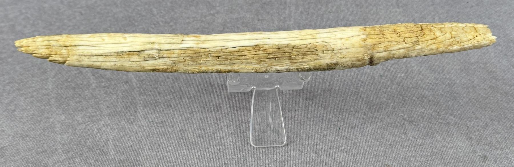 Ancient Thule Alaska Inuit Eskimo Sled Runner