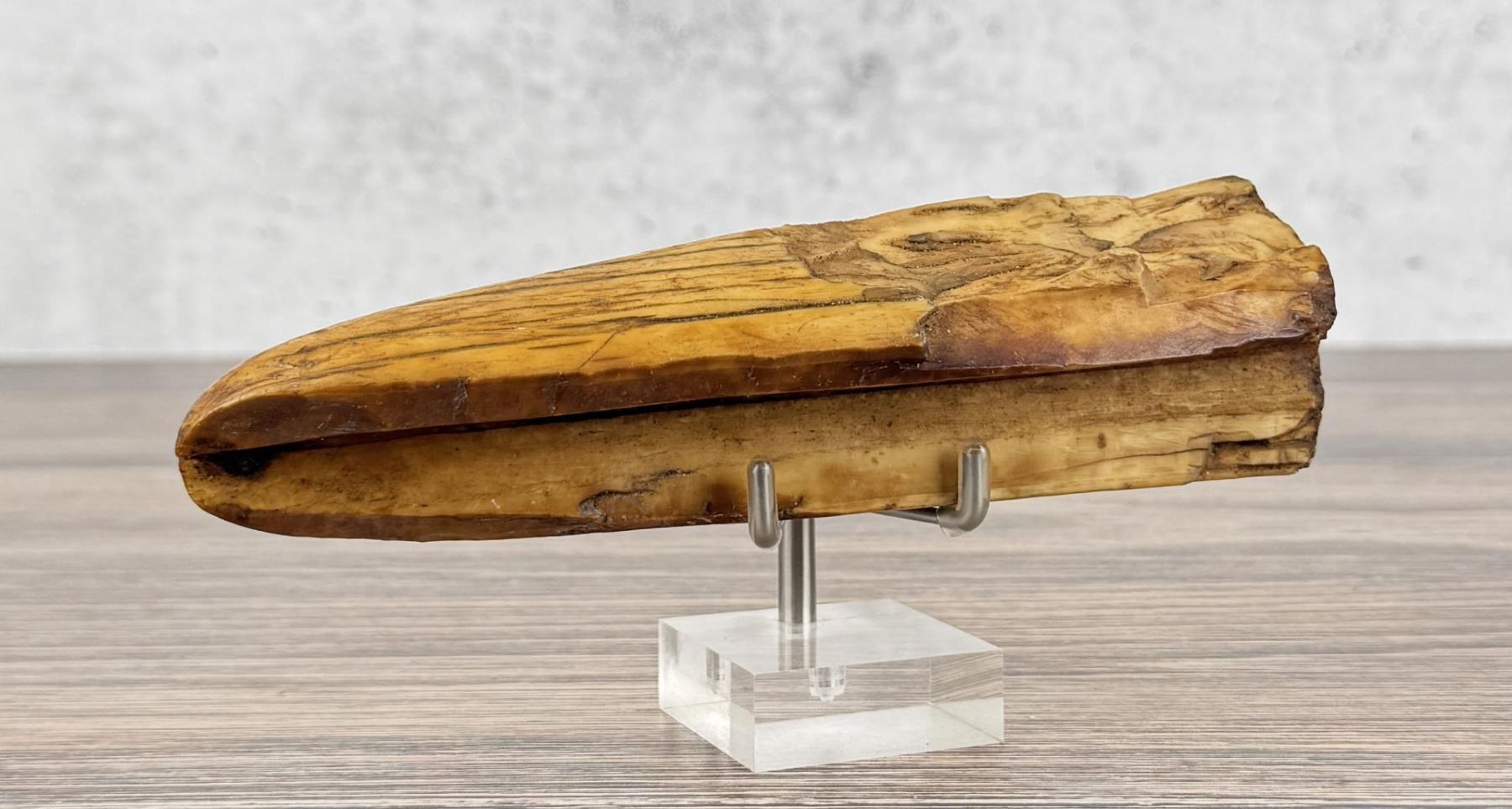 Ancient Thule Alaska Inuit Eskimo Sled Runner