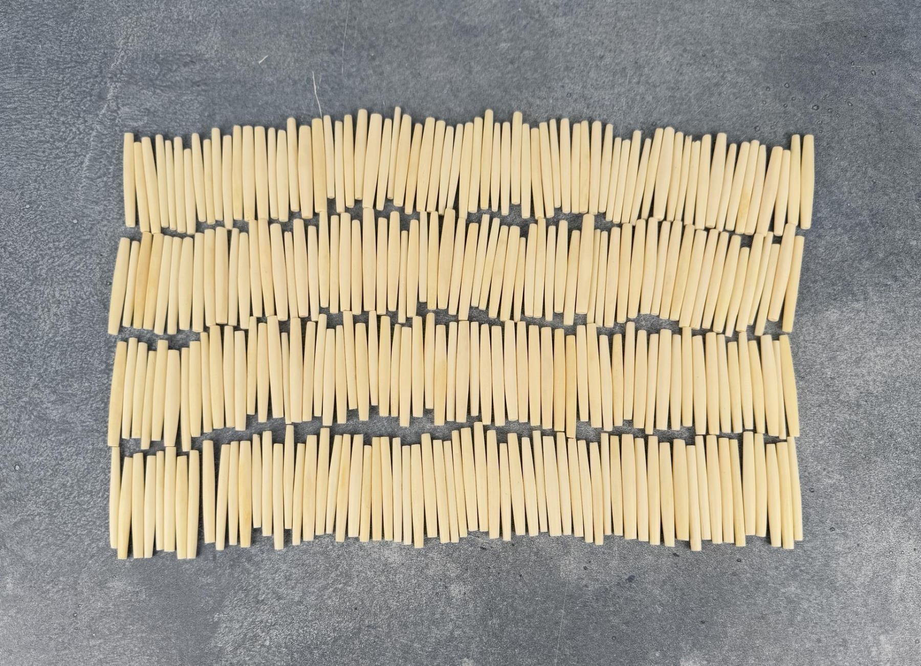 Native American Indian Bone Hairpipe Beads